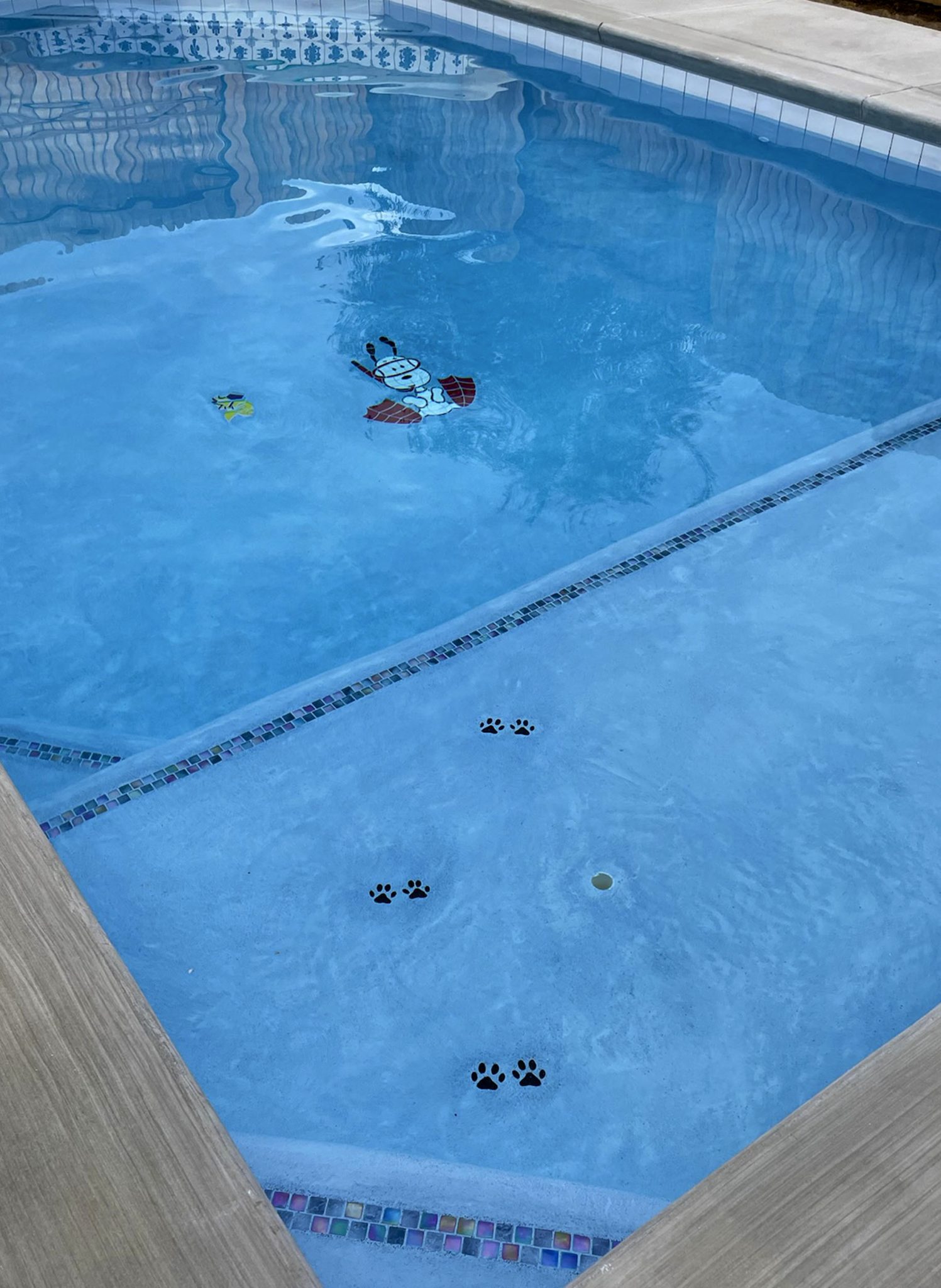 Swimming Pool Portfolio - Kali Custom Pools